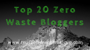 Top 25 Eco Friendly Bloggers | Green Living Blogs